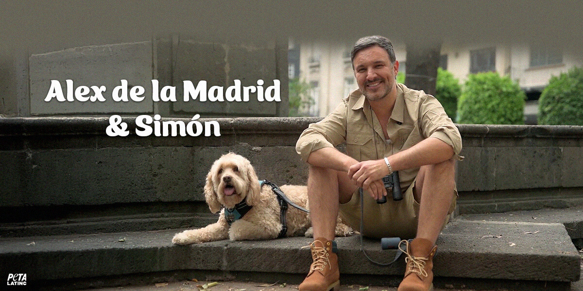 Alex de la Madrid: Adopta siempre y sé el mejor amigo de tu perro ...