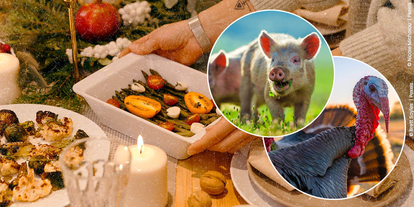 Prepara un festín de ‘ThanksVegan’ con un toque latino | PETA