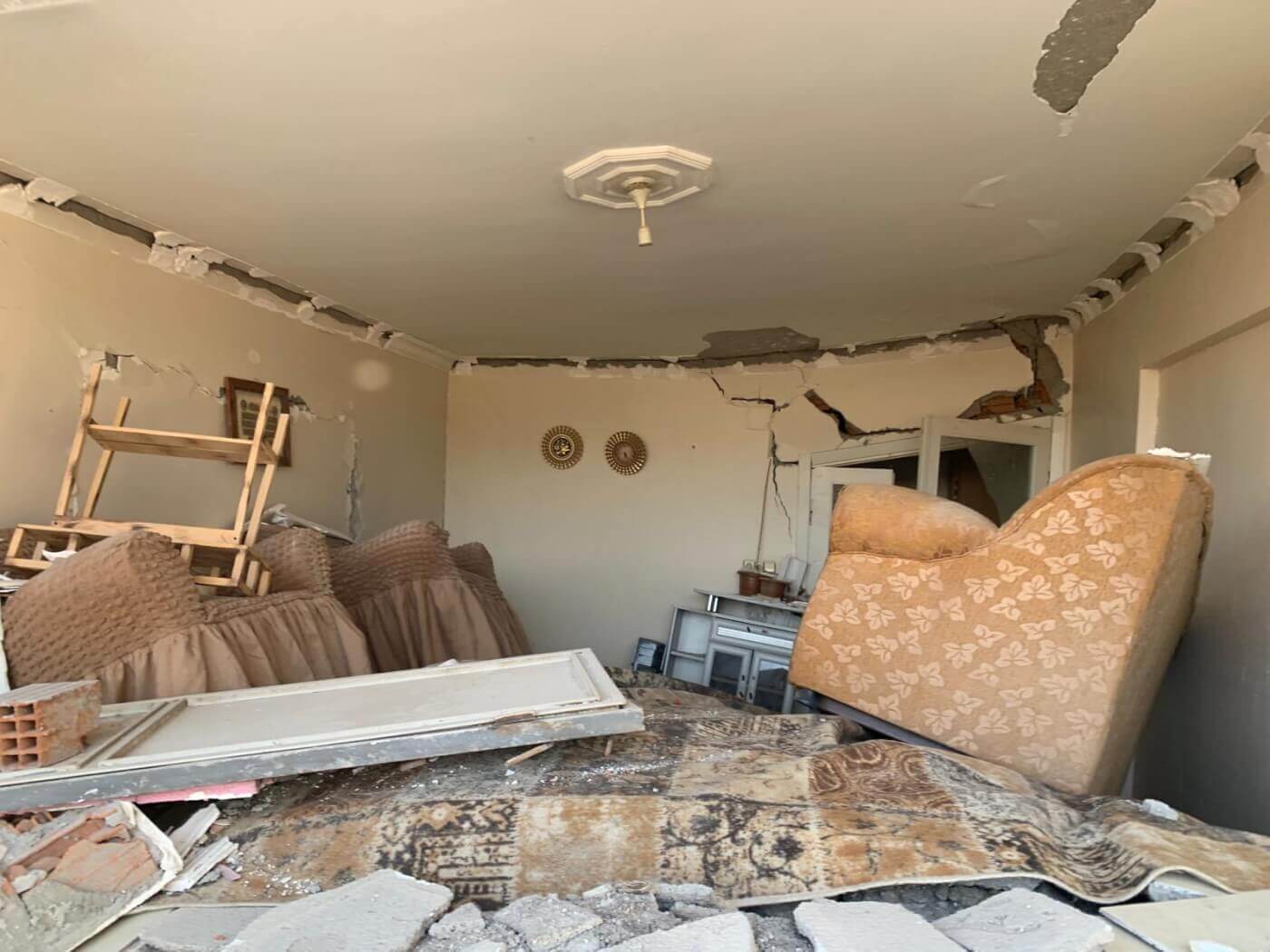 Video: Nuevo hogar para sobreviviente del terremoto de Turquía | PETA ...