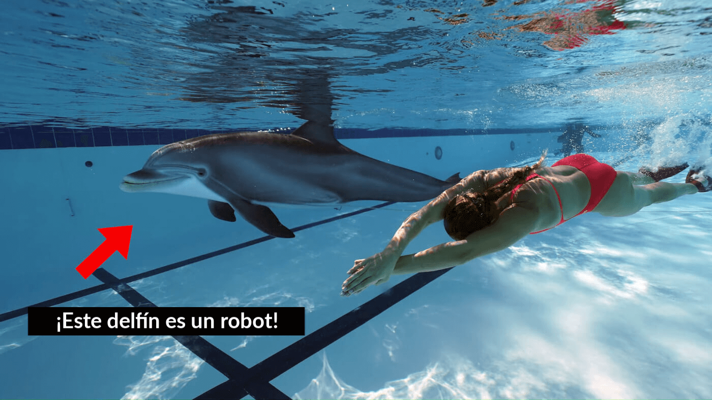 VIDEO: ¿Delfines robóticos? Ver para creer | PETA Latino