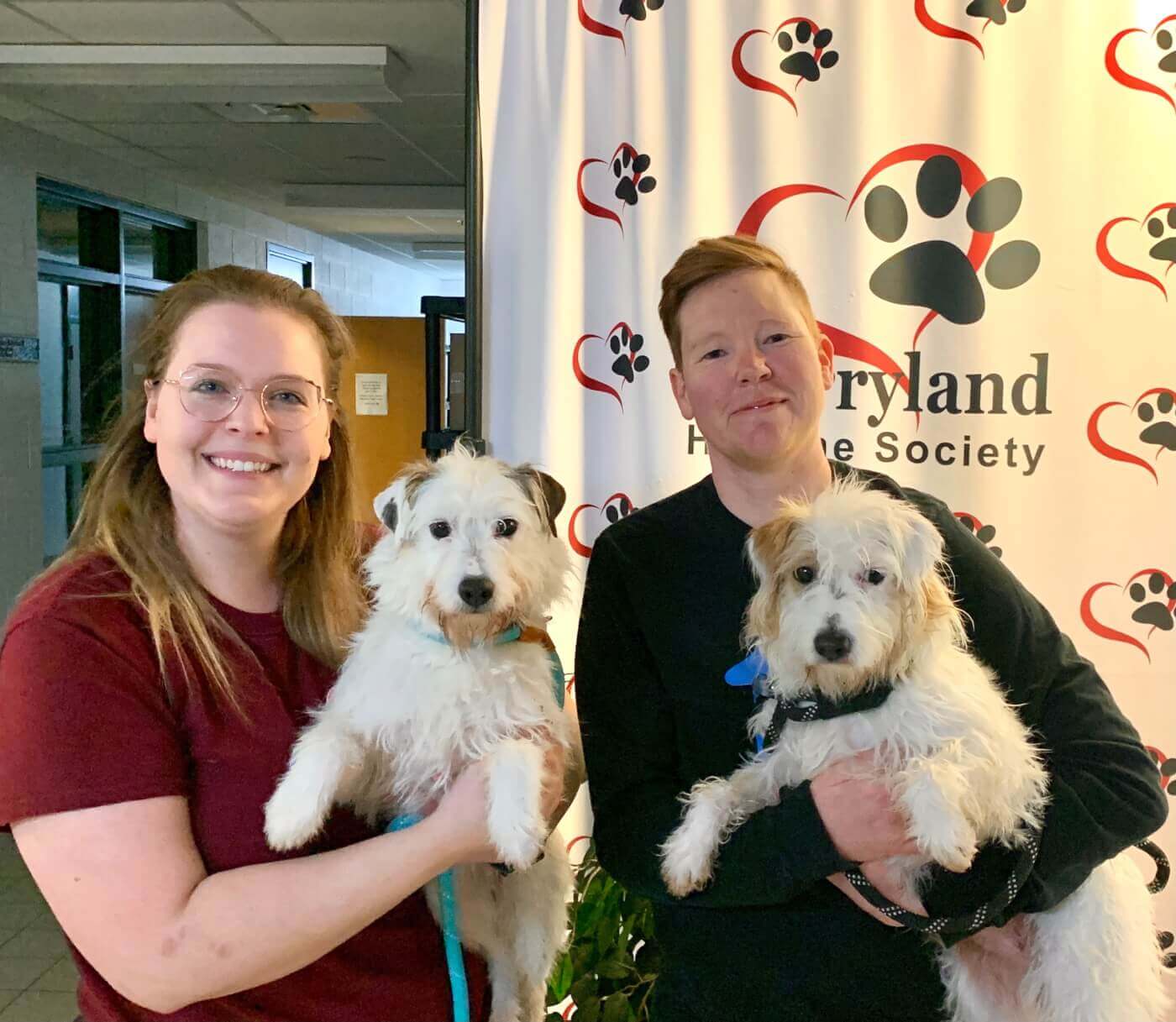 VIDEO: De JRT a TQM: Perros rescatados listos para ser adoptados | PETA ...