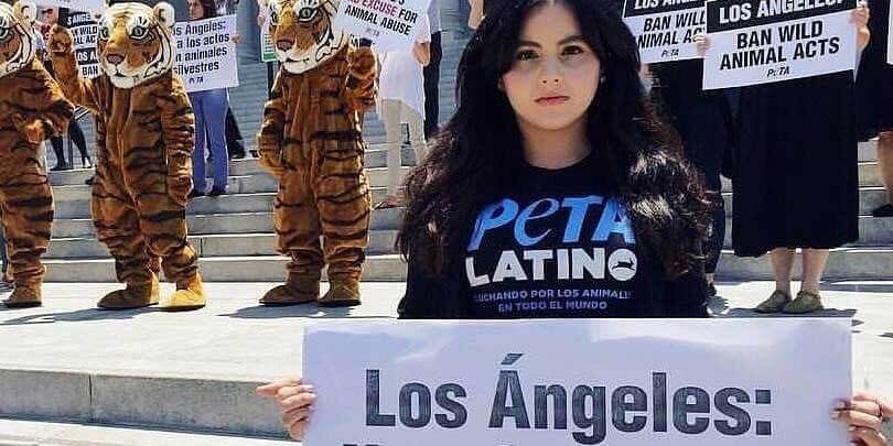 Qué es PETA Latino y cómo ayuda a los animales | PETA Latino