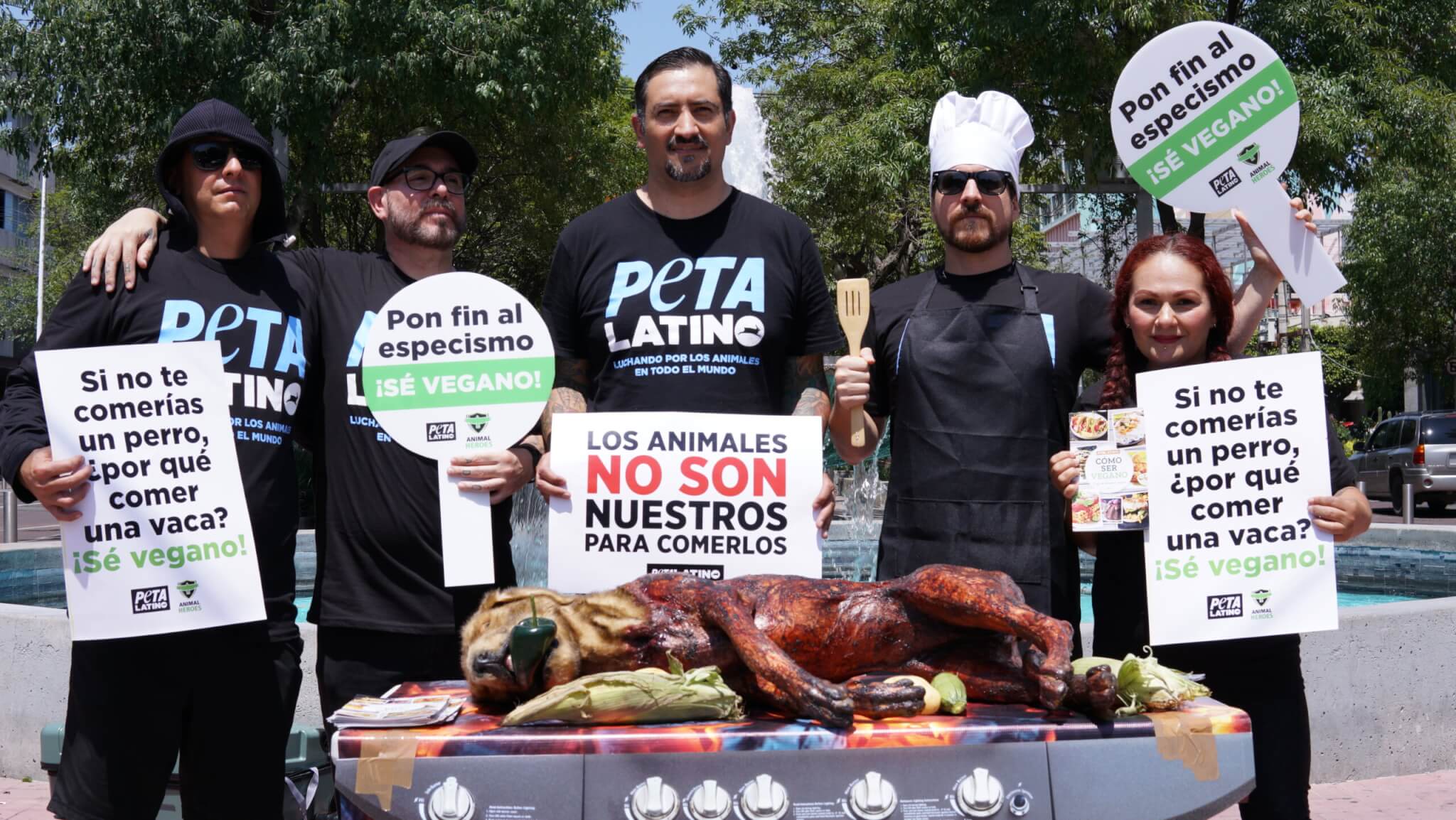 Las protestas de PETA Latino defendieron a los animales en 2023 | PETA