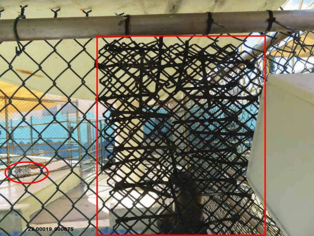 Inspección del USDA Revela Fallas en el Miami Seaquarium | PETA Latino