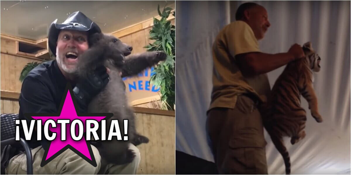 Adiós, Tim Stark—Su licencia de exhibidor queda revocada ...